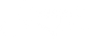 Gate and Quickpass | Stonegate Community Association of Scottsdale, AZ